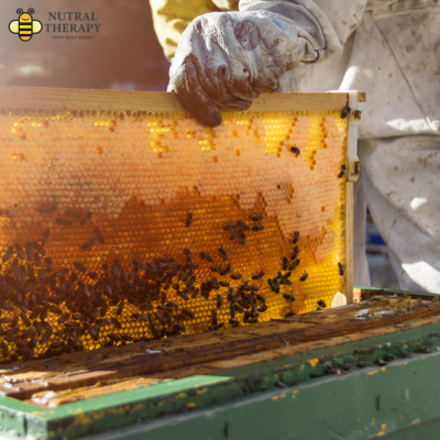 Propolis • Perga • Arı Sütü • Apilarnil • Ham Bal | Nutral Therapy